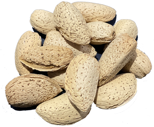 ALMONDS IN SHELL – Vava Pantry